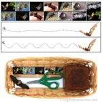 FREE Bat Cutting Strips (Montessori-Inspired Instant Download) - Living ...
