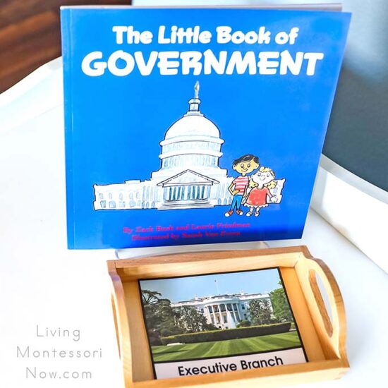 Montessori U.S. Government and Constitution Printables for Preschool ...