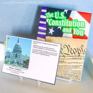 Montessori U.S. Government and Constitution Printables for Preschool ...
