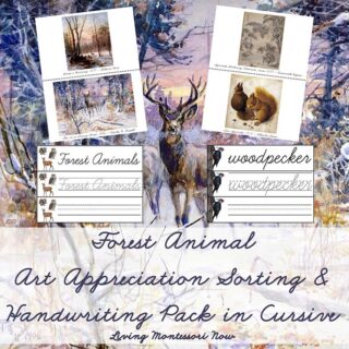 Forest Art Appreciation Printable Packs in Print or Cursive - Living ...