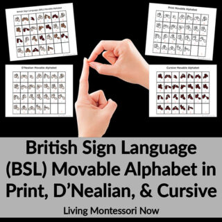 Sign Language Movable Alphabet Printables and Resources - Living ...