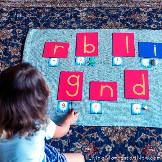 Free Dental Health Printables and Montessori-Inspired Dental Health ...