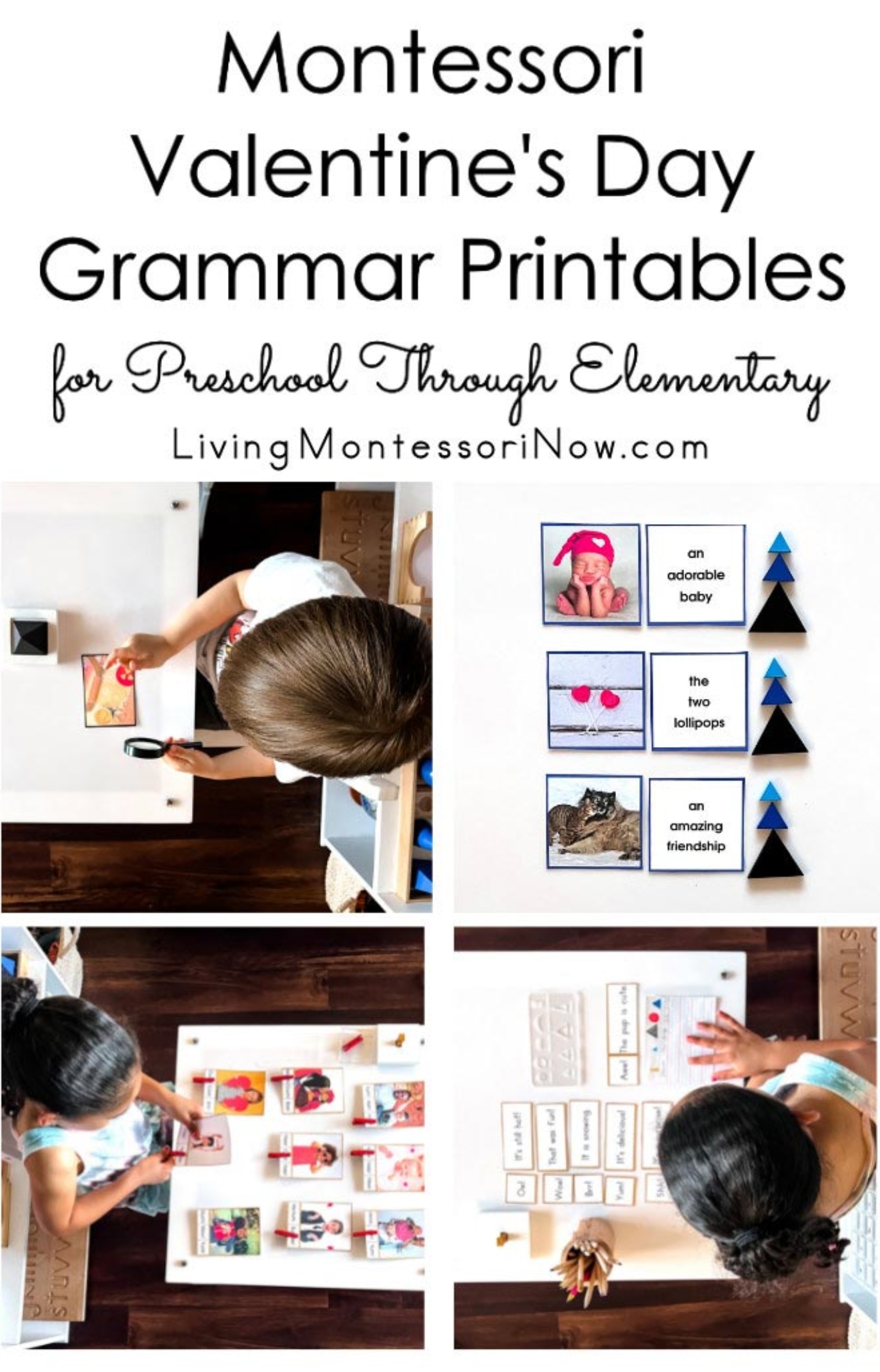 Special Focus on Montessori Letters and Sounds Work in Manuscript or ...