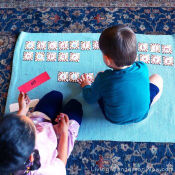 Free Colors & Diversity Printables and Montessori-Inspired Colors ...