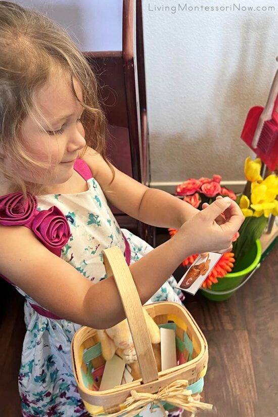 Free Rabbit Printables and Montessori-Inspired Rabbit Activities ...