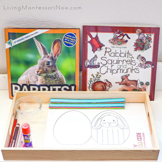 Free Rabbit Printables and Montessori-Inspired Rabbit Activities ...