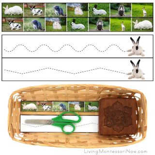 FREE Rabbit Cutting Strips (Montessori-Inspired Instant Download ...