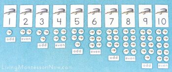 Free Crocodilian Printables and Montessori-Inspired Crocodilian ...