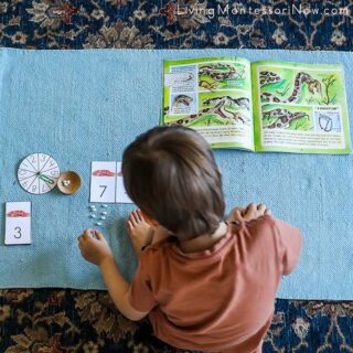 Free Snake Printables and Montessori-Inspired Snake Activities - Living ...