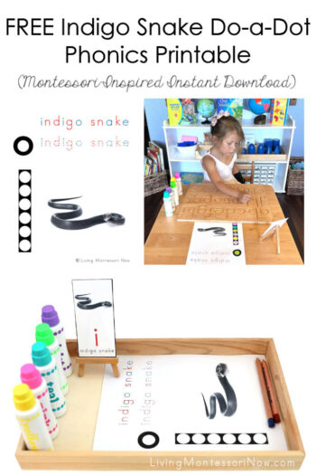 Free Snake Printables and Montessori-Inspired Snake Activities - Living ...