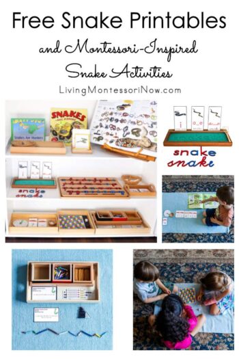 Free Snake Printables and Montessori-Inspired Snake Activities - Living ...
