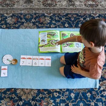 Free Snake Printables and Montessori-Inspired Snake Activities - Living ...