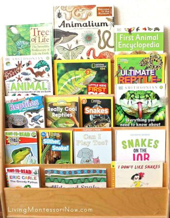 Free Snake Printables and Montessori-Inspired Snake Activities - Living ...