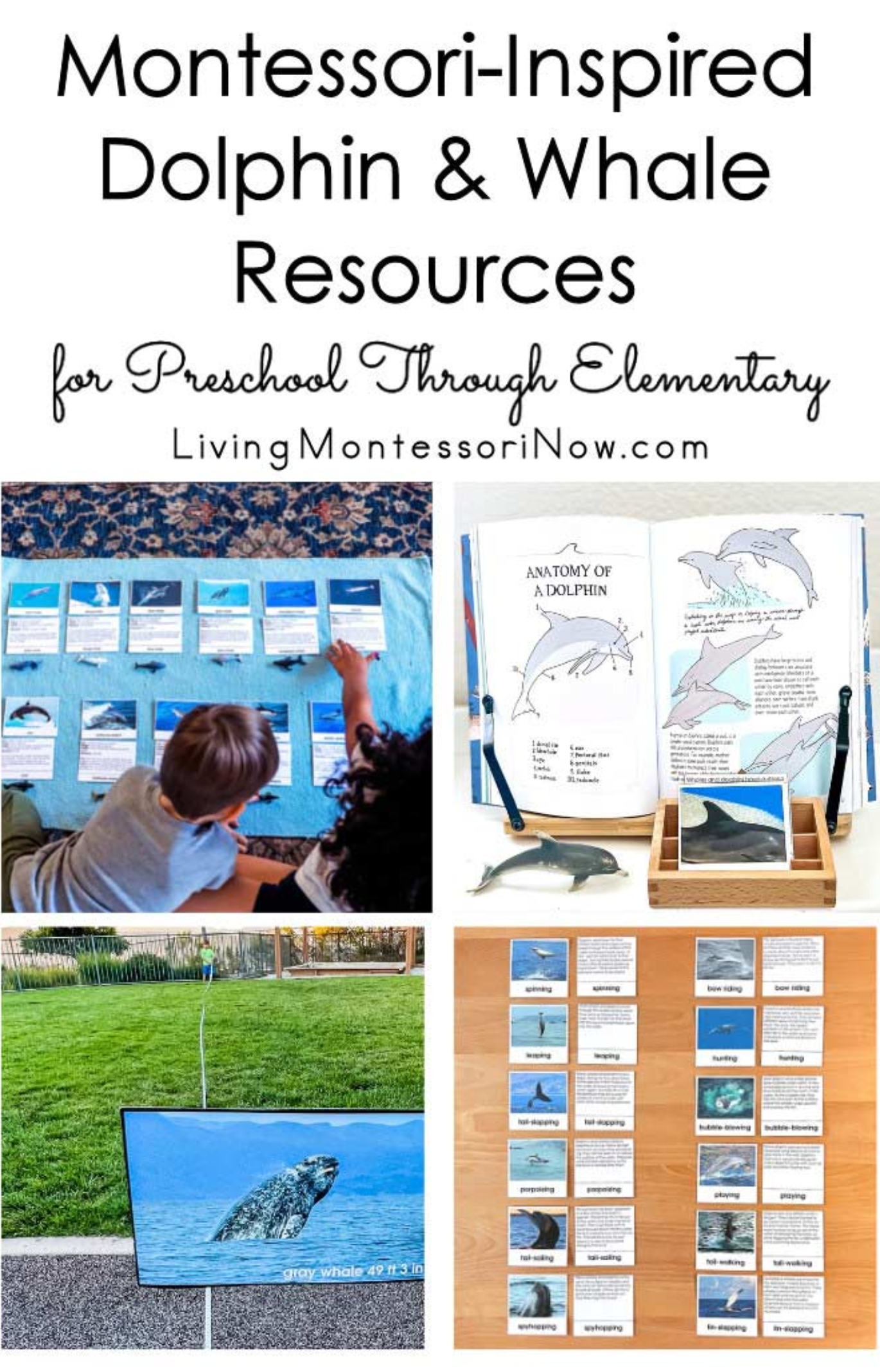 Montessori-Inspired Land, Air, and Water Transportation Printables for ...