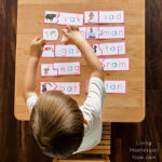 Montessori Pink Language Series - CVC Phonics Puzzles in Print or ...