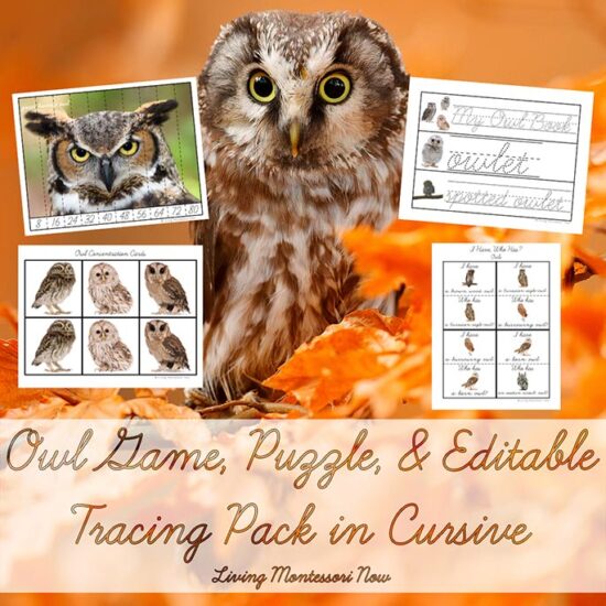 Owl Game, Puzzle, and Editable Tracing Pack in Print or Cursive ...