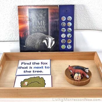 Free Nocturnal Animal Printables and Montessori-Inspired Nocturnal ...