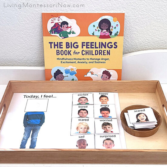 Free Feelings Printables for a Montessori-Inspired Emotions and ...