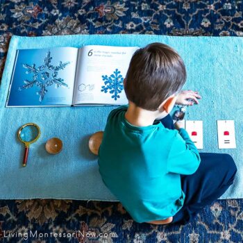 Free Snowy Day Printables and Montessori-Inspired Snowy Day Activities ...
