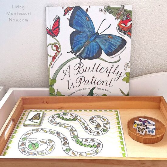 Free Caterpillar to Butterfly Printables and Montessori-Inspired ...