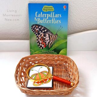 Free Caterpillar to Butterfly Printables and Montessori-Inspired ...
