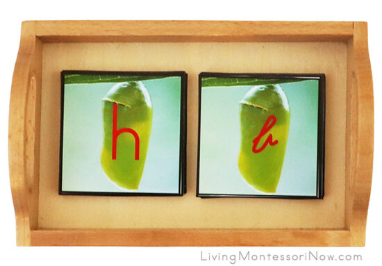 Free Caterpillar to Butterfly Printables and Montessori-Inspired ...