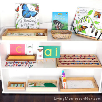 Free Caterpillar to Butterfly Printables and Montessori-Inspired ...