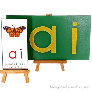 Free Caterpillar to Butterfly Printables and Montessori-Inspired ...