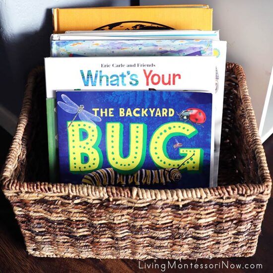 Favorite Books for a Butterfly Theme - Living Montessori Now