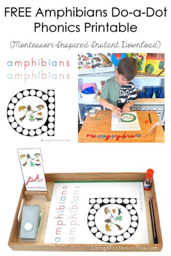 FREE Amphibians Do-a-Dot Phonics Printable (Montessori-Inspired Instant ...