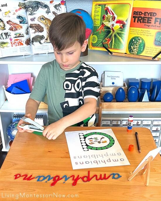 FREE Amphibians Do-a-Dot Phonics Printable (Montessori-Inspired Instant ...