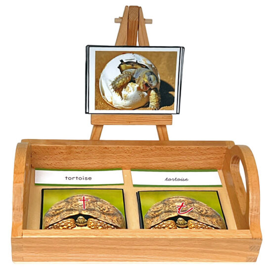 Free Reptile Printables and Montessori-Inspired Reptile Activities ...