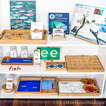 Free Fish Printables and Montessori-Inspired Fish Activities - Living ...
