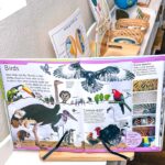 Free Bird Printables and Montessori-Inspired Bird Activities - Living ...