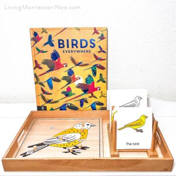 Free Bird Printables and Montessori-Inspired Bird Activities - Living ...