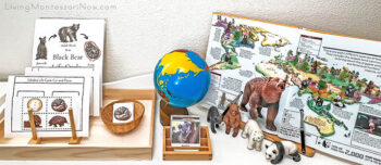 Free Mammal Printables and Montessori-Inspired Mammal Activities ...