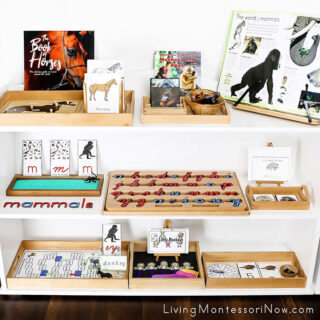 Free Mammal Printables and Montessori-Inspired Mammal Activities ...