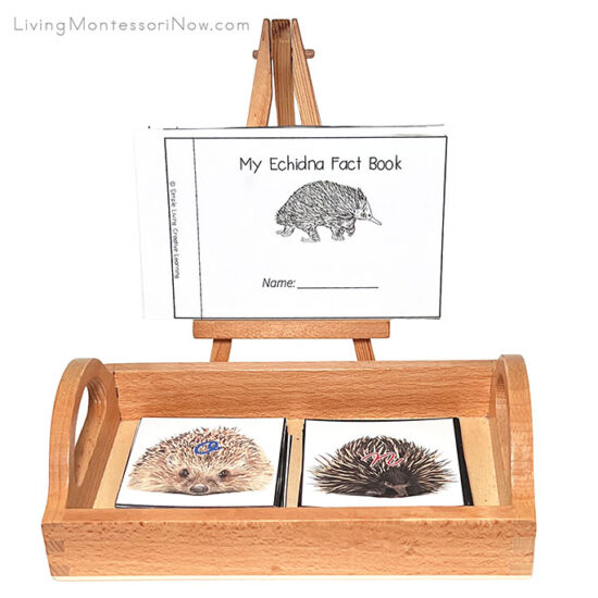 Free Mammal Printables and Montessori-Inspired Mammal Activities ...