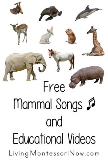 Free Mammal Songs and Educational Videos - Living Montessori Now