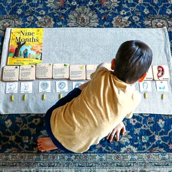 Free New Baby Printables and Montessori-Inspired New Baby Activities ...