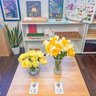 Free Flower Printables and Montessori-Inspired Flower Activities ...