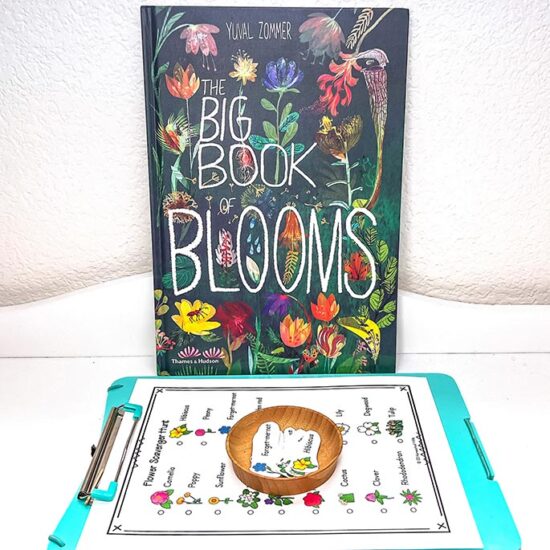 Free Flower Printables and Montessori-Inspired Flower Activities ...