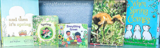 Free Flower Printables and Montessori-Inspired Flower Activities ...