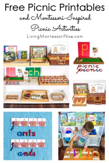 Free Teddy Bear Songs and Rhymes for Circle Time - Living Montessori Now