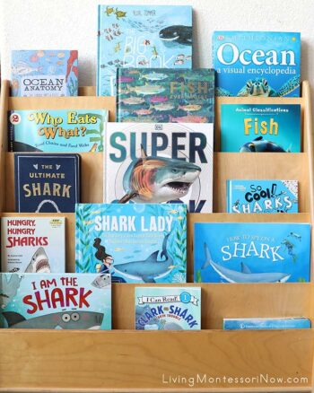 Free Shark Printables and Activities for a Montessori-Inspired Shark ...
