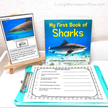 Free Shark Printables and Activities for a Montessori-Inspired Shark ...