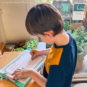 Free Shark Printables and Activities for a Montessori-Inspired Shark ...