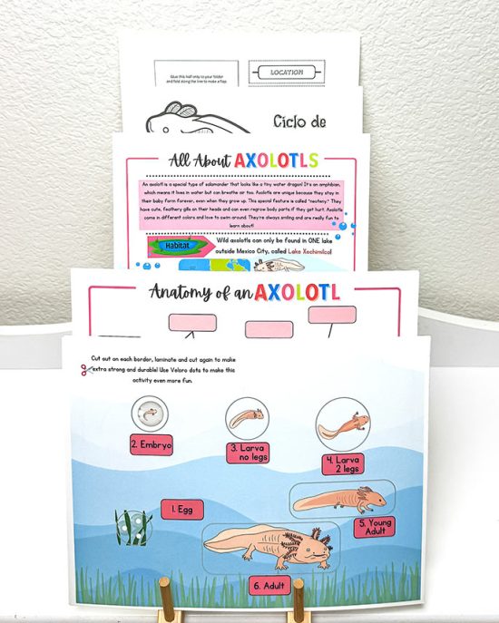 Free Axolotl Printables and Montessori-Inspired Axolotl Activities ...