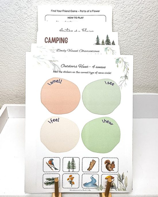 Free Summer Scavenger Hunt Printables and Montessori-Inspired ...