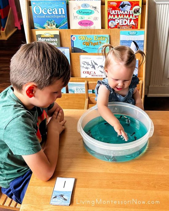 Free Orca Printables and Montessori-Inspired Orca Activities - Living ...